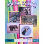 Foundation – Accelerated Education Enterprises