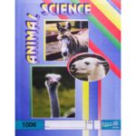 Foundation – Accelerated Education Enterprises