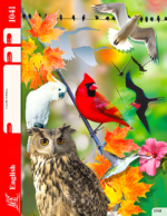 English PACE 1041 (4th ed) – Accelerated Education Enterprises