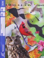 Science PACE 1030 (4th ed) – Accelerated Education Enterprises