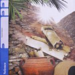 Grade 6 – Accelerated Education Enterprises